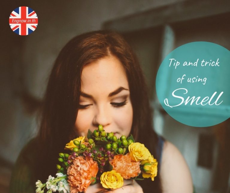 มาทำความรู้จักกับกลิ่น (Smell) ในภาษาอังกฤษกันเถอะ | Engnow.in.th เรียน ...